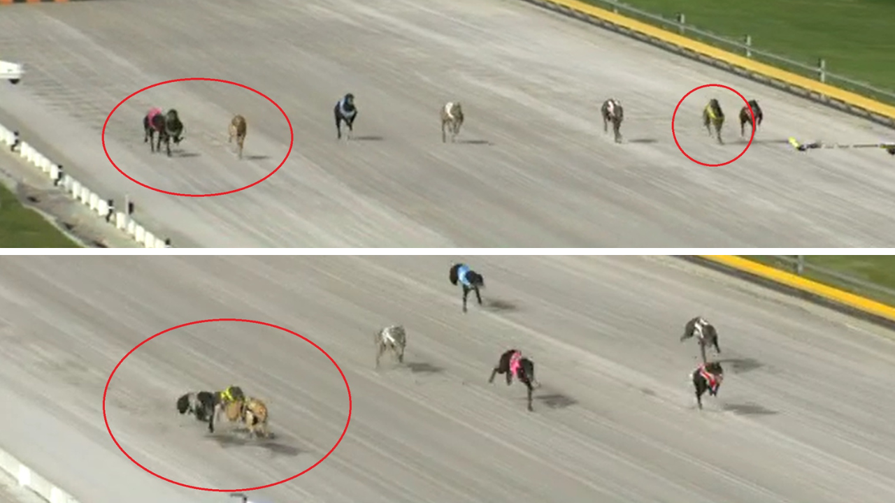 Opinion: Why Q Straight Has Missed The Mark - Greyhound Recorder