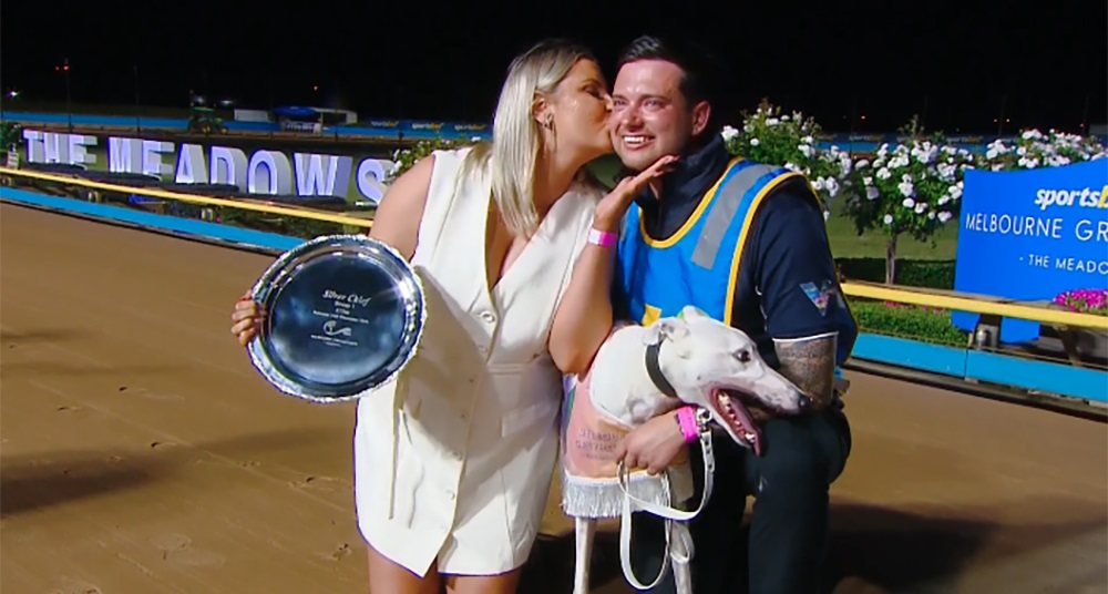 Group 1 Winner Epitomize To Scale Stud Mountain - Greyhound Recorder