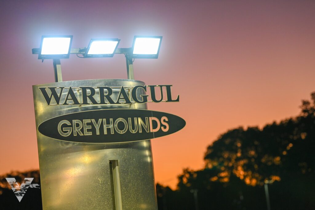 Irish Bill Up To The Mark For St Leger Tilt - Greyhound Recorder