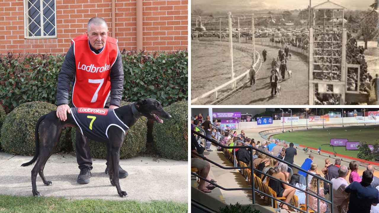 Lord's Mixed Emotions Ahead Of Dapto Closure - Greyhound Recorder