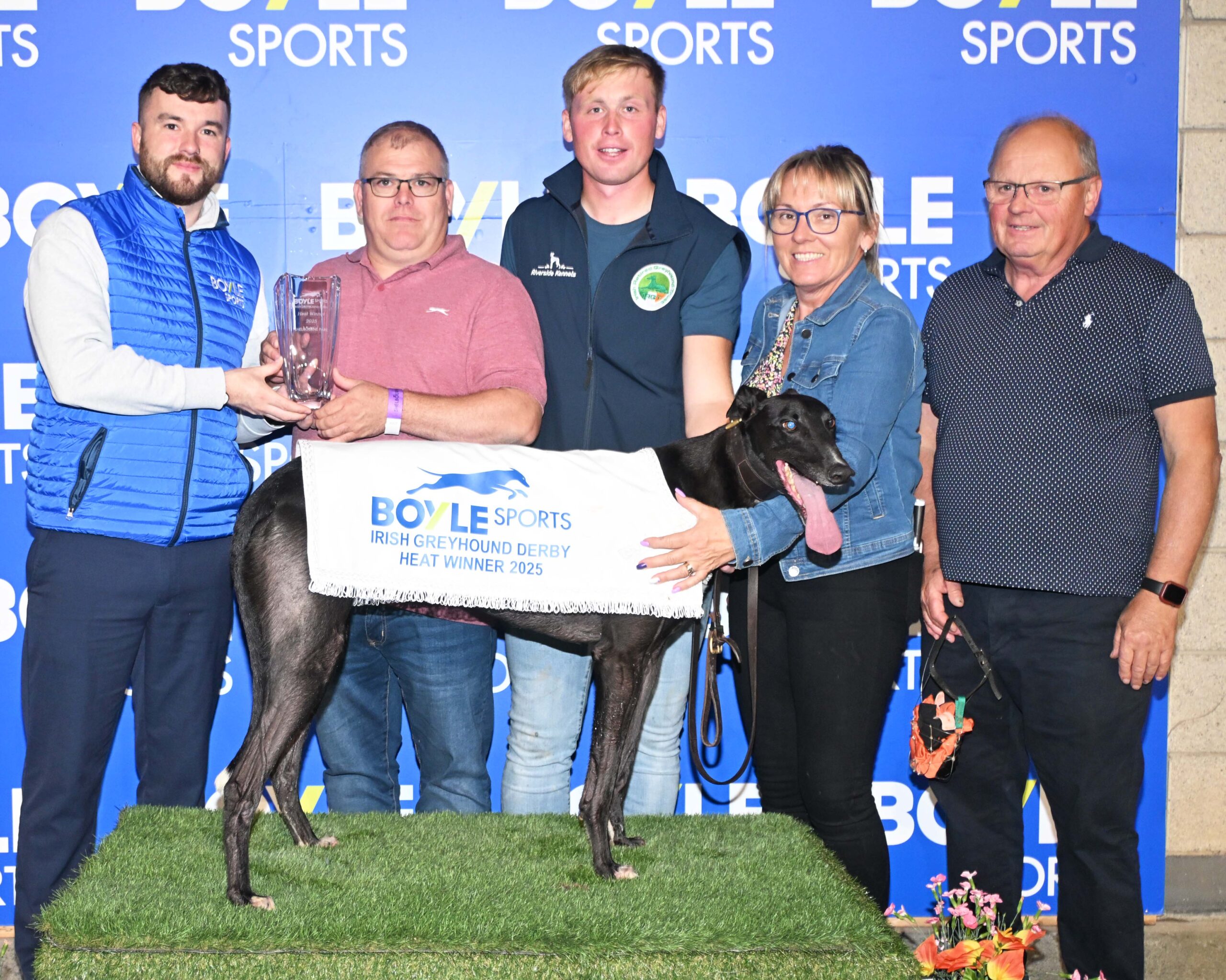 Bombay Pat Sets Sizzling Irish Derby Pace - Greyhound Recorder