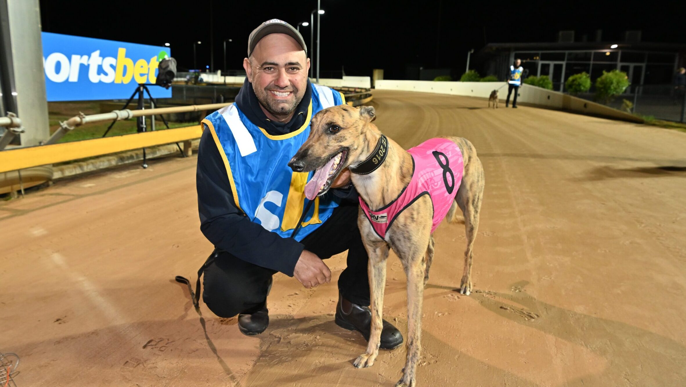 Hotel Whisky One To Run Riot In Megastar - Greyhound Recorder