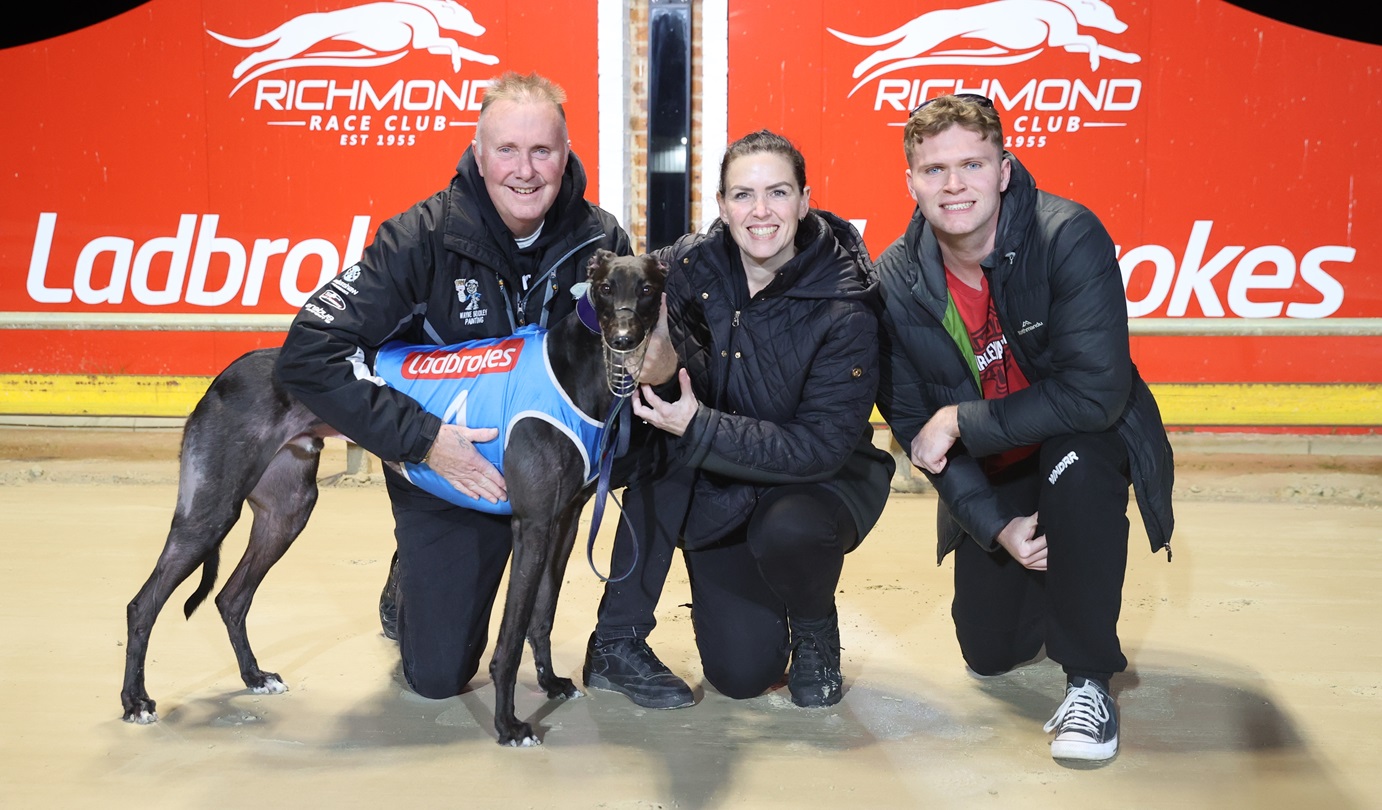 'Drawn Well': Intrepid Eagle To Take Flight In Megastar - Greyhound ...