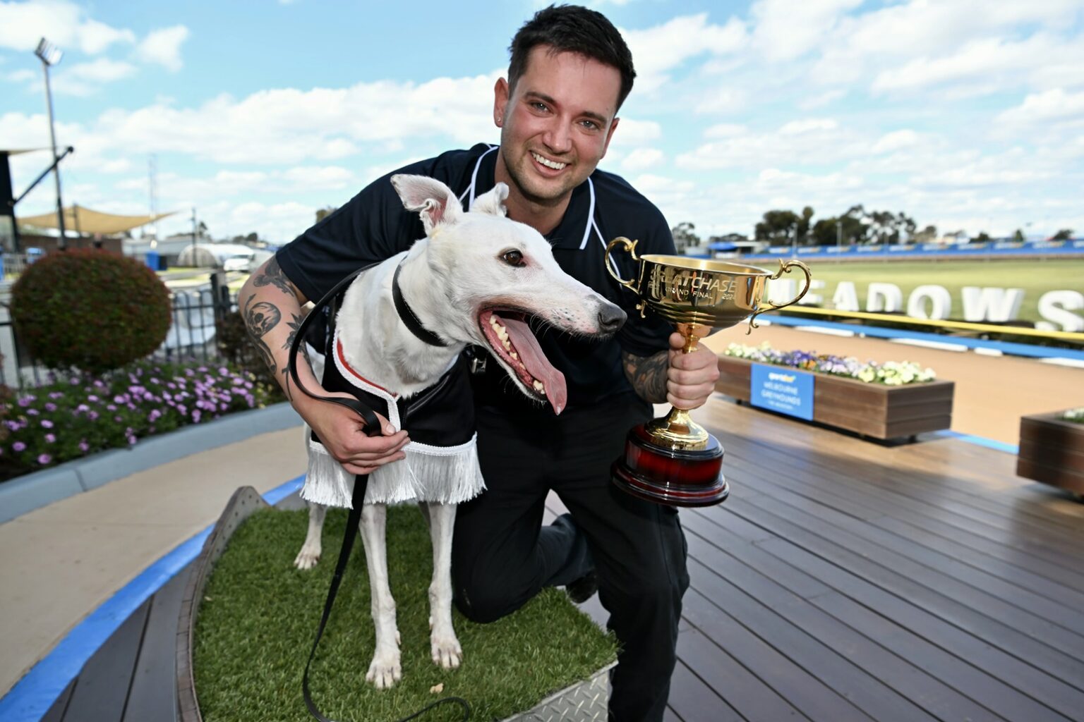 Epitomize Endorsed As Stud Journey Begins - Greyhound Recorder