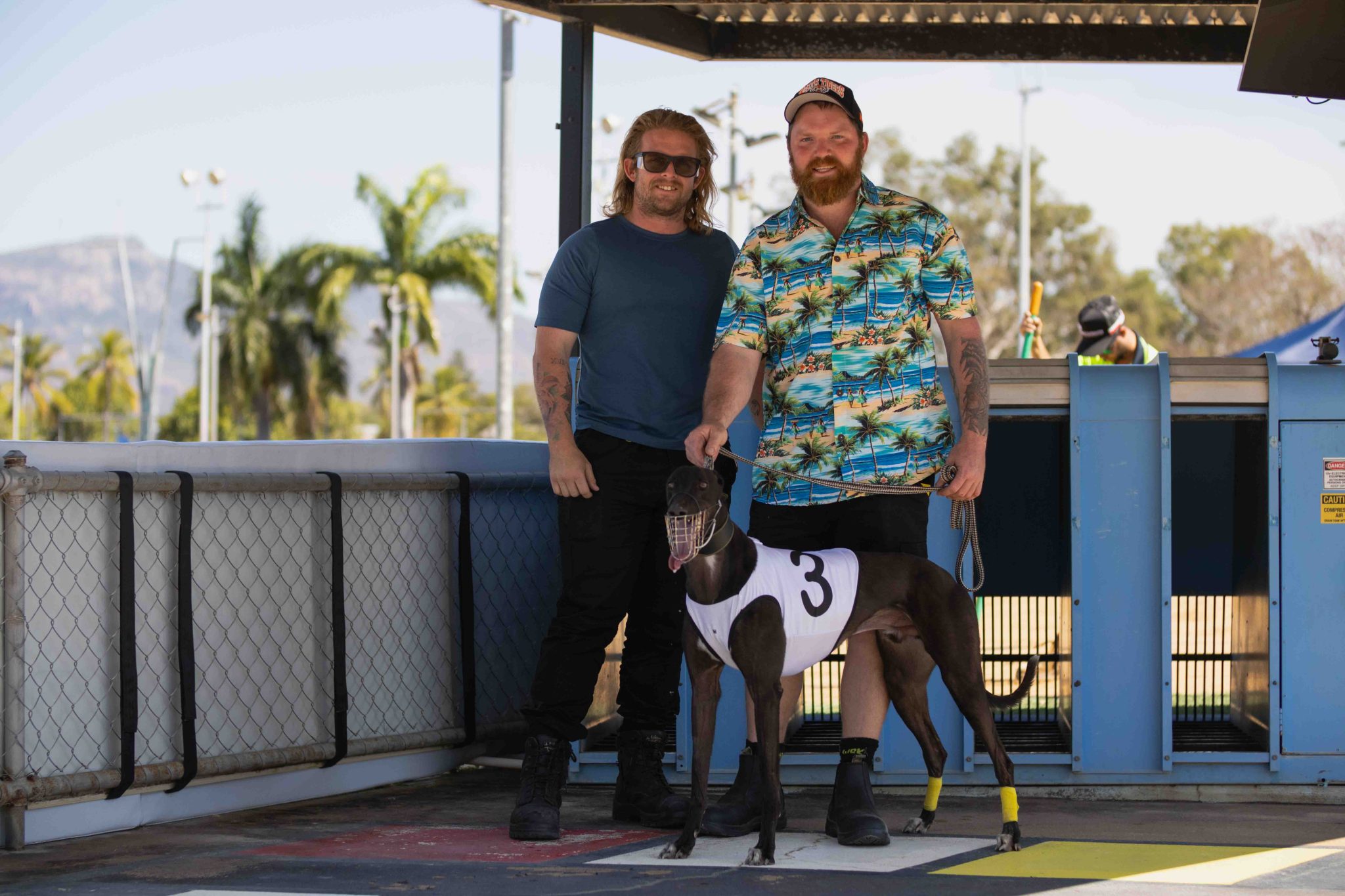 Townsville Record Sets Jay Walking On Cup Path - Greyhound Recorder