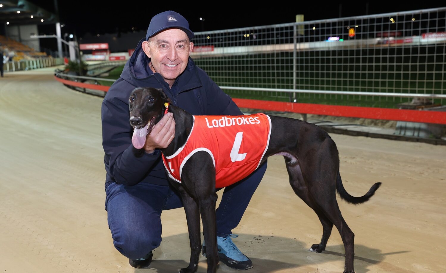 Best Box, Best Dog Has Thompson In Megastar Mix - Greyhound Recorder