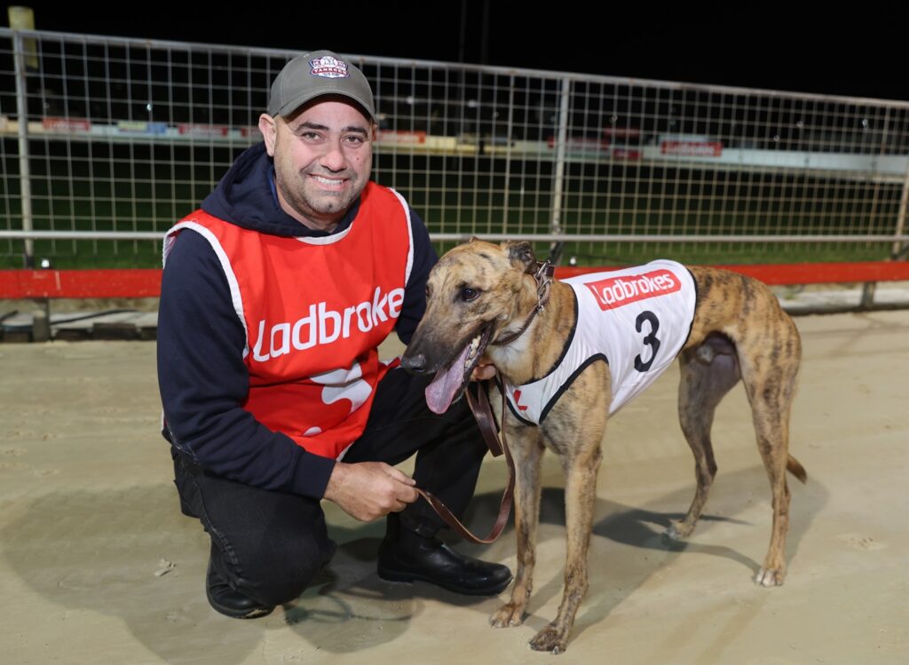 The Bloodlines Behind The Final Group 1 Megastar - Greyhound Recorder