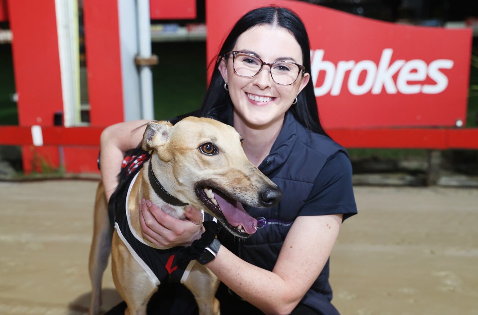 Best Box, Best Dog Has Thompson In Megastar Mix - Greyhound Recorder