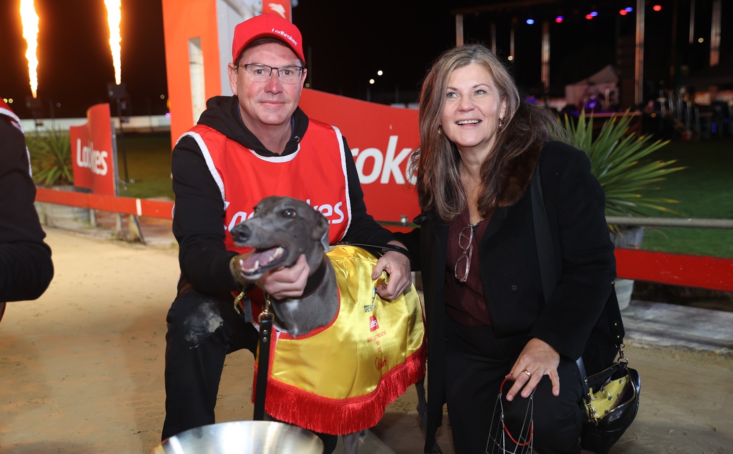 Fitch Realises Training Dream In Final Megastar - Greyhound Recorder