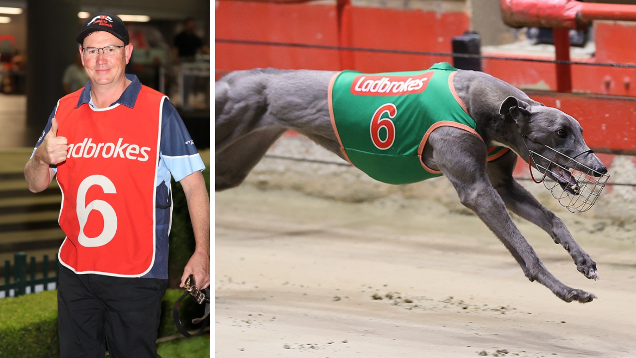 MDC Field Takes Shape On Night Of Semi Upsets - Greyhound Recorder