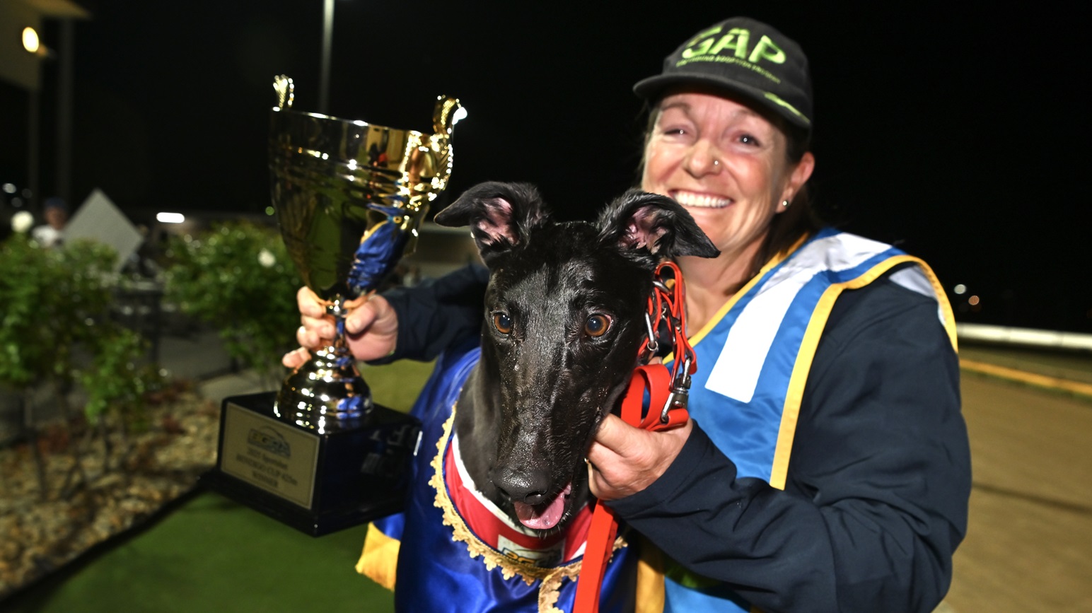 Dr. Asher Storms To Bendigo Cup Glory - Greyhound Recorder