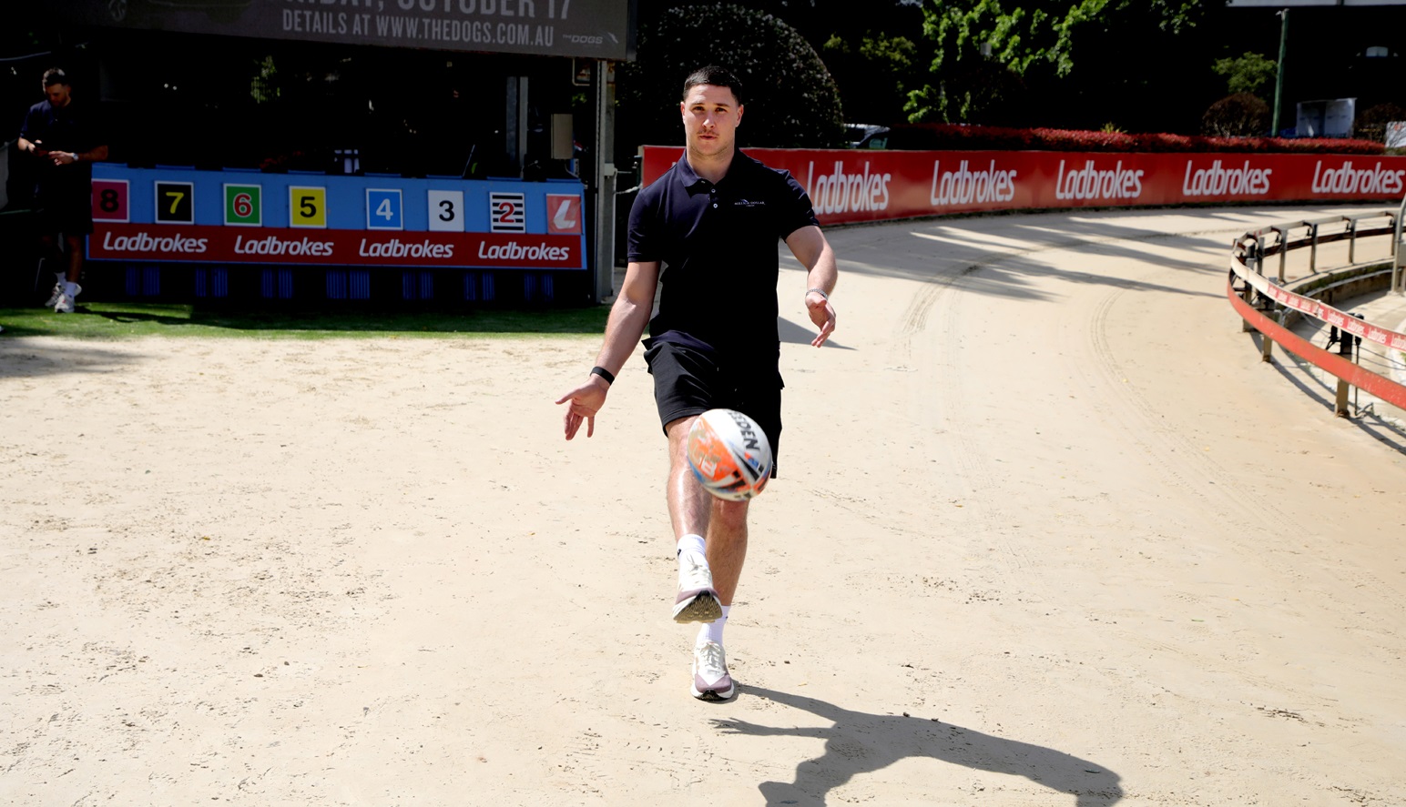 Records To Fall As Sydney Racing Hits Fever Pitch - Greyhound Recorder