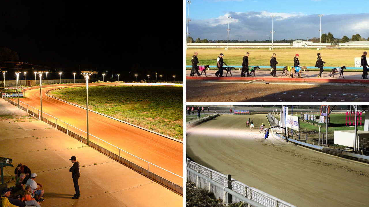 GRNSW Announce TAB Racetrack Closures - Greyhound Recorder