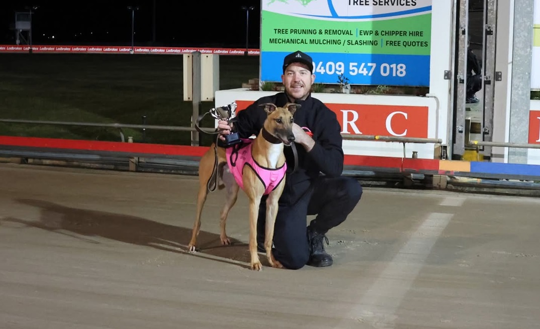 Working Holiday: Betts Eyes $100k Cup Payday - Greyhound Recorder
