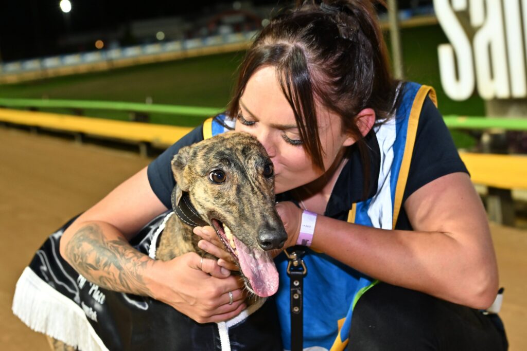 'Luckless' Dashing Slay Spot On For Laurels - Greyhound Recorder