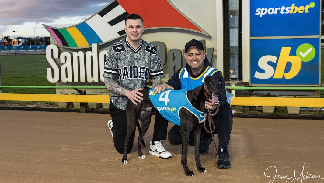 Azzopardi's Shootout Hopes Left In Despair - Greyhound Recorder
