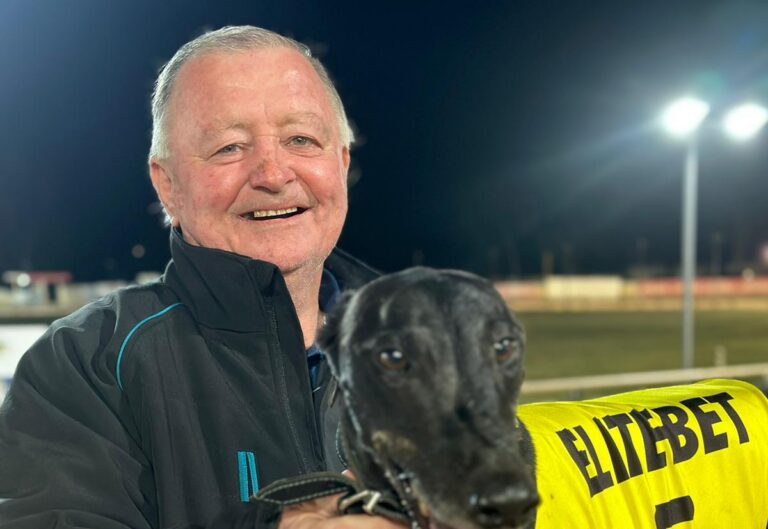 Why Nangar Wally Could Be Barnes' Best Yet - Greyhound Recorder