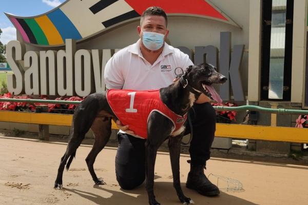 Trainers To Strike In 'Message Of Solidarity' - Greyhound Recorder