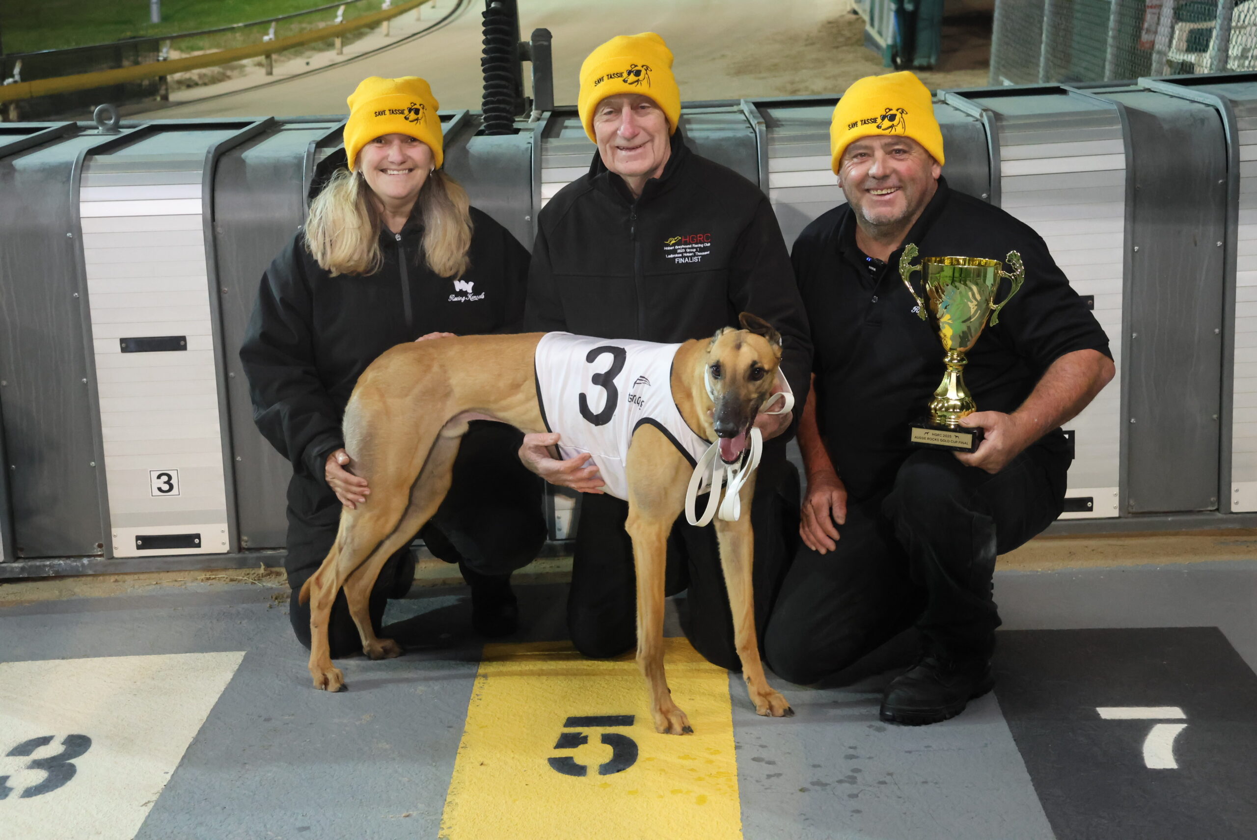 Stringer's Chase To Erase Hobart Heartbreak - Greyhound Recorder