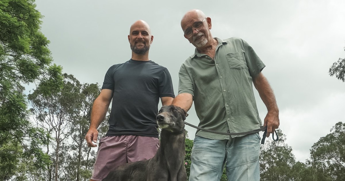 Ben Living Out His Greyhound Racing Passion - Greyhound Recorder