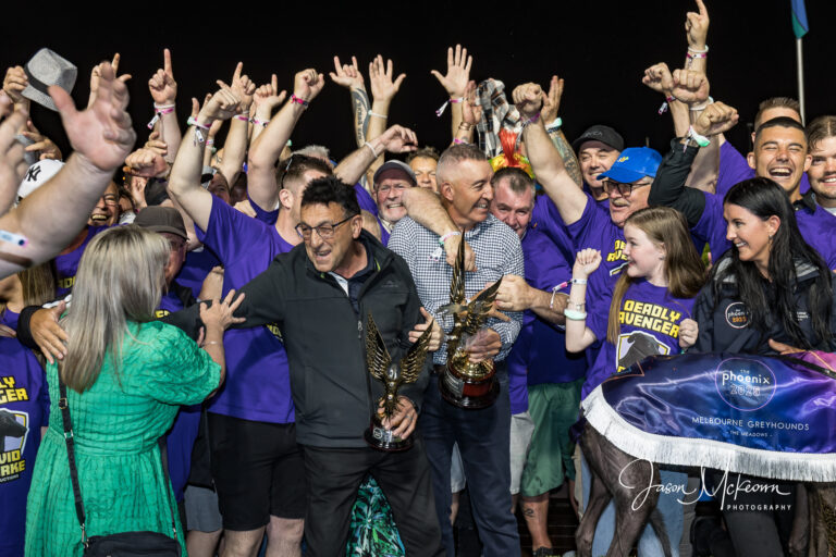 No Plans For Deadly Avenger's Immediate Future - Greyhound Recorder