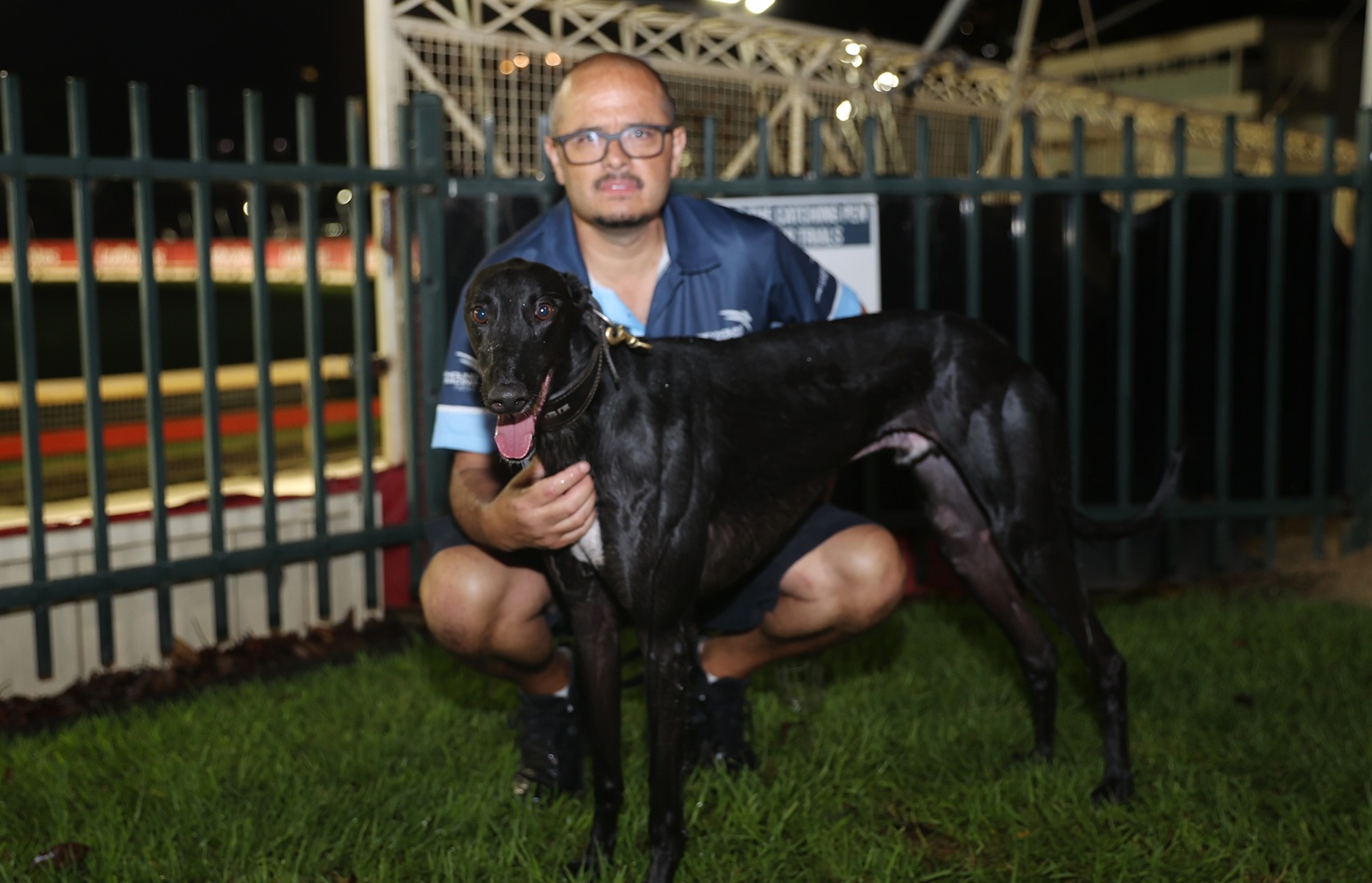 Welcome To Gatt's Wentworth Park 'Jungle' - Greyhound Recorder