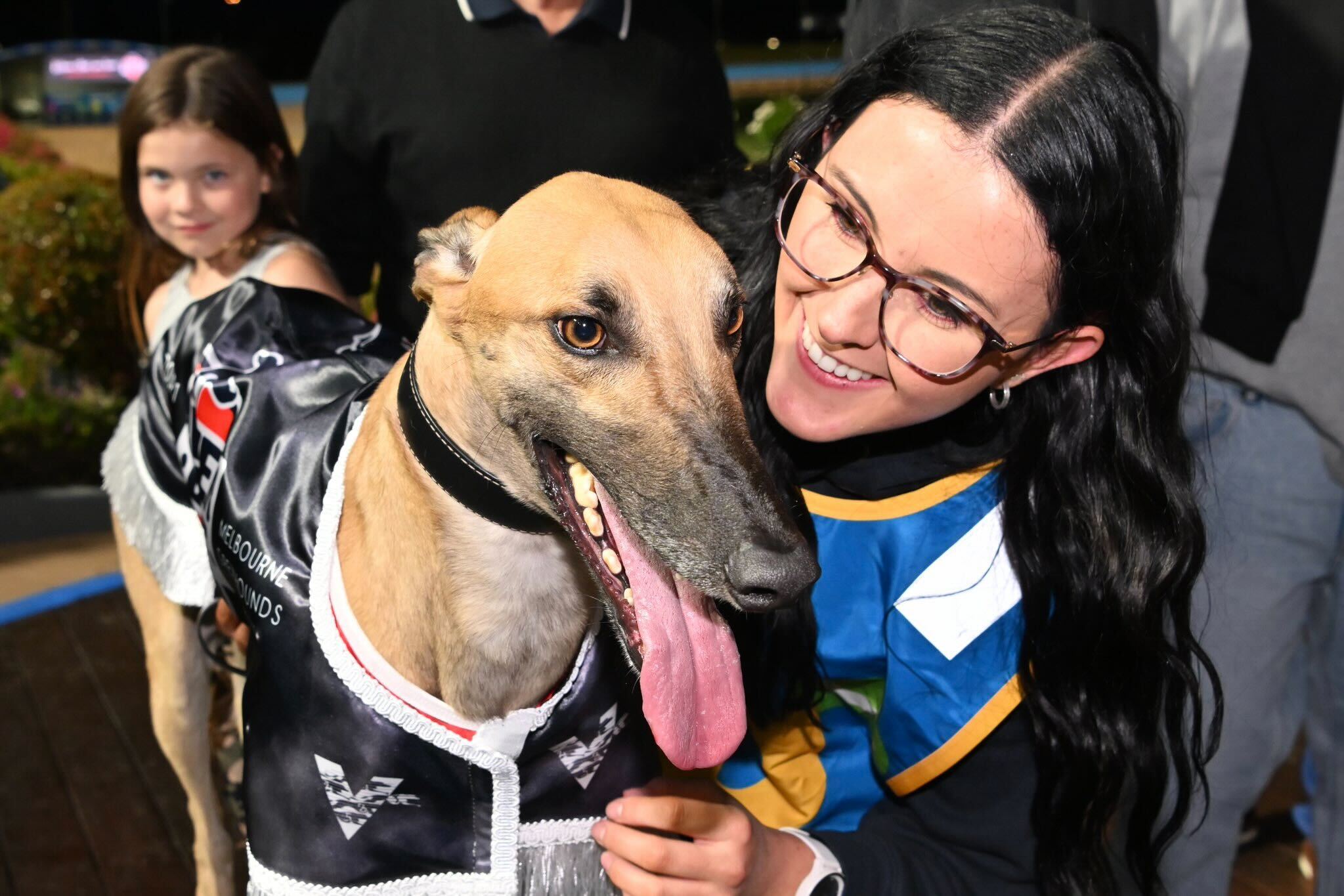 Hot Favourite 'Traumatises' Silver Chief Rivals - Greyhound Recorder