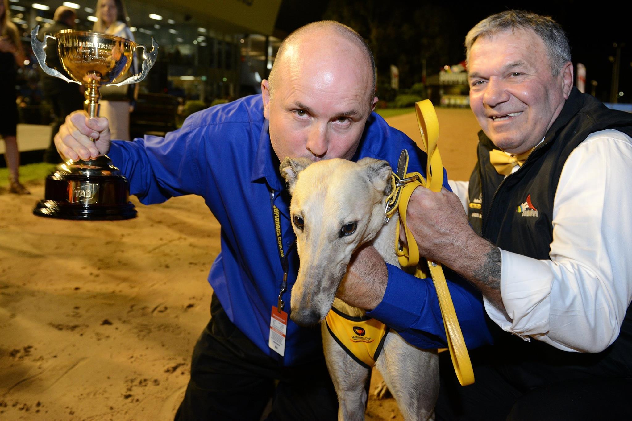 Youngest Mackay Now Making Her Mark - Greyhound Recorder