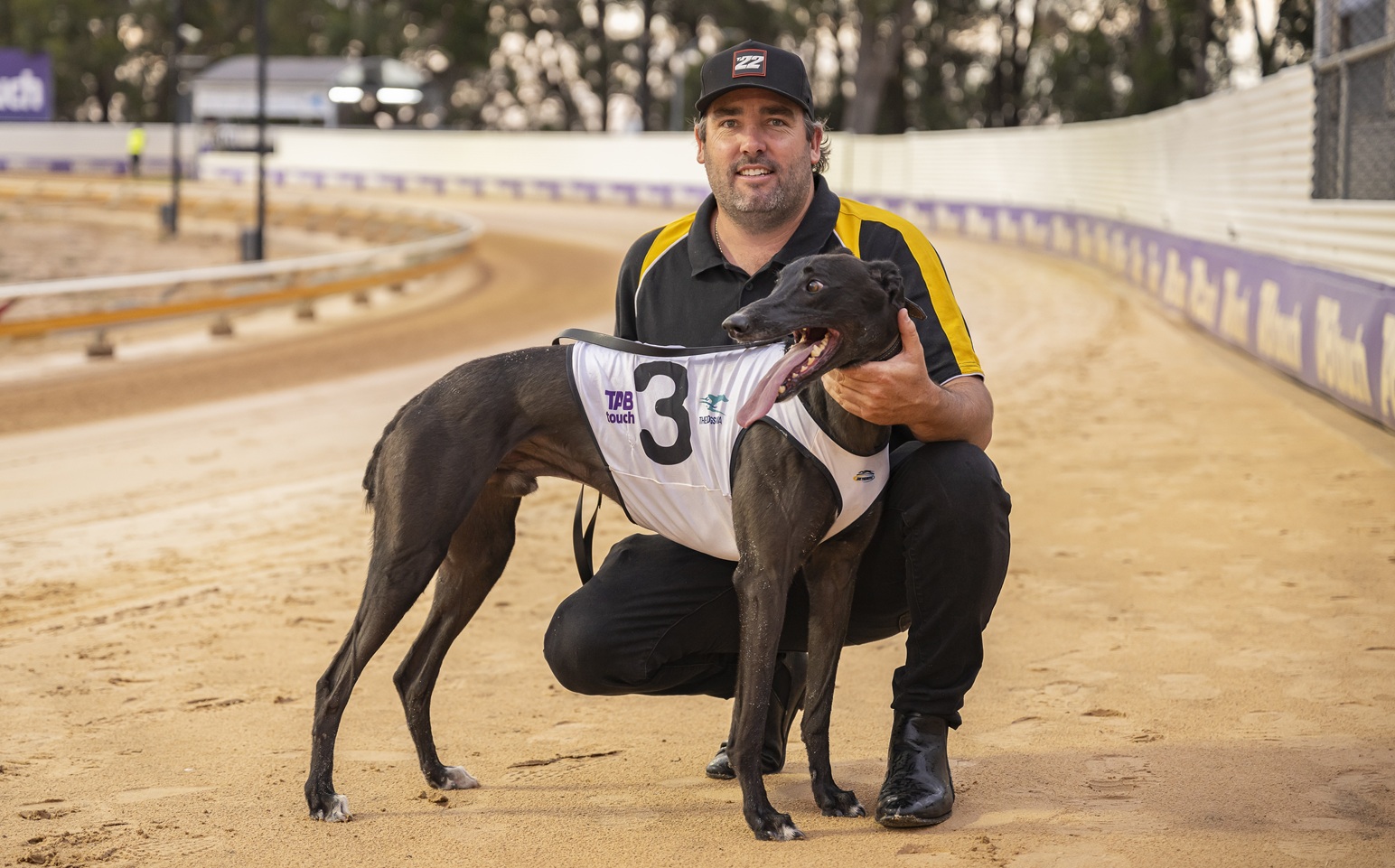 Aston Nero Facing Birthday Cup Challenge - Greyhound Recorder