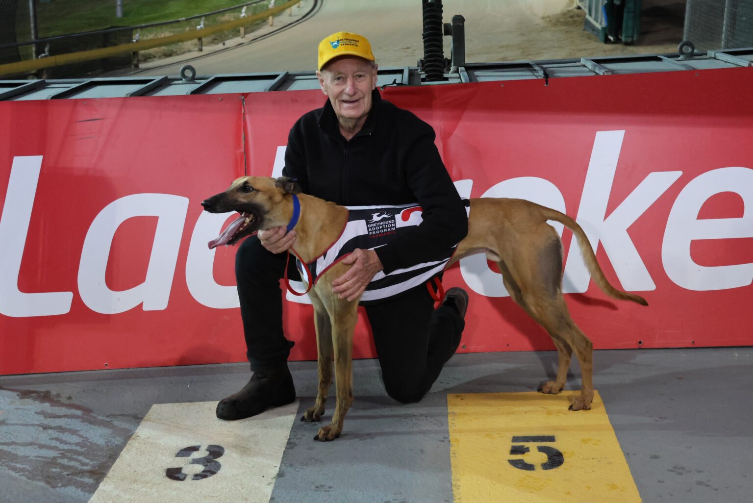 Devonport Chase Draw Favours Dewana Star - Greyhound Recorder