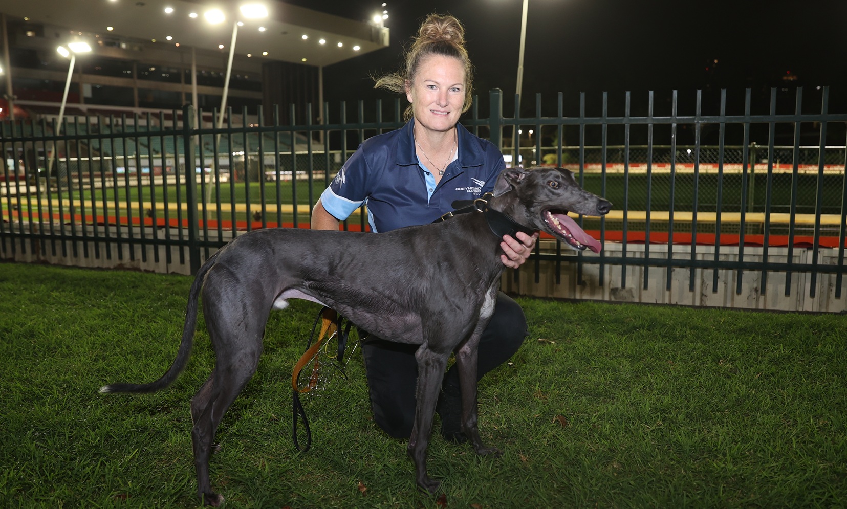 King Of Gods Set To Ascend National Derby Throne - Greyhound Recorder