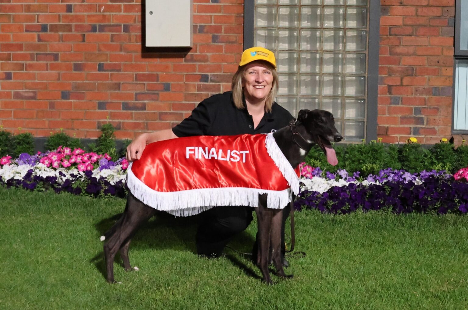 Fahey Eyes Breakthrough Launceston Cup Win - Greyhound Recorder