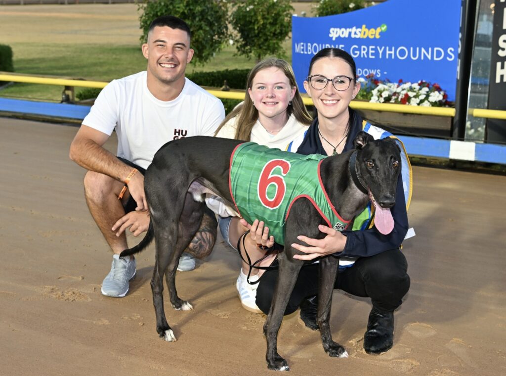 'Dramatical Has The Draw To Do It': Thompson - Greyhound Recorder
