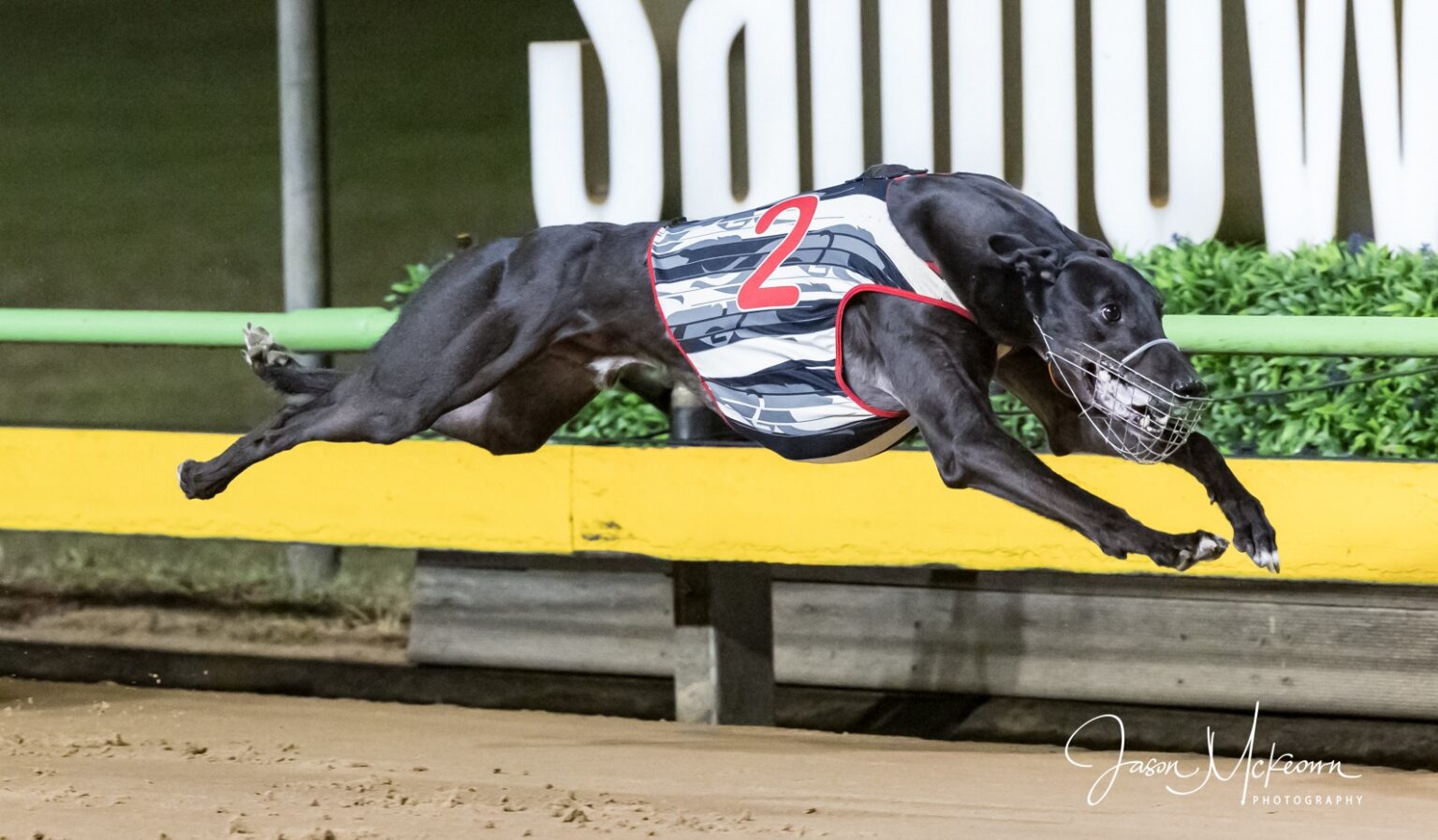 Prize Fighter Tim Zoo Hangs Up The Gloves - Greyhound Recorder