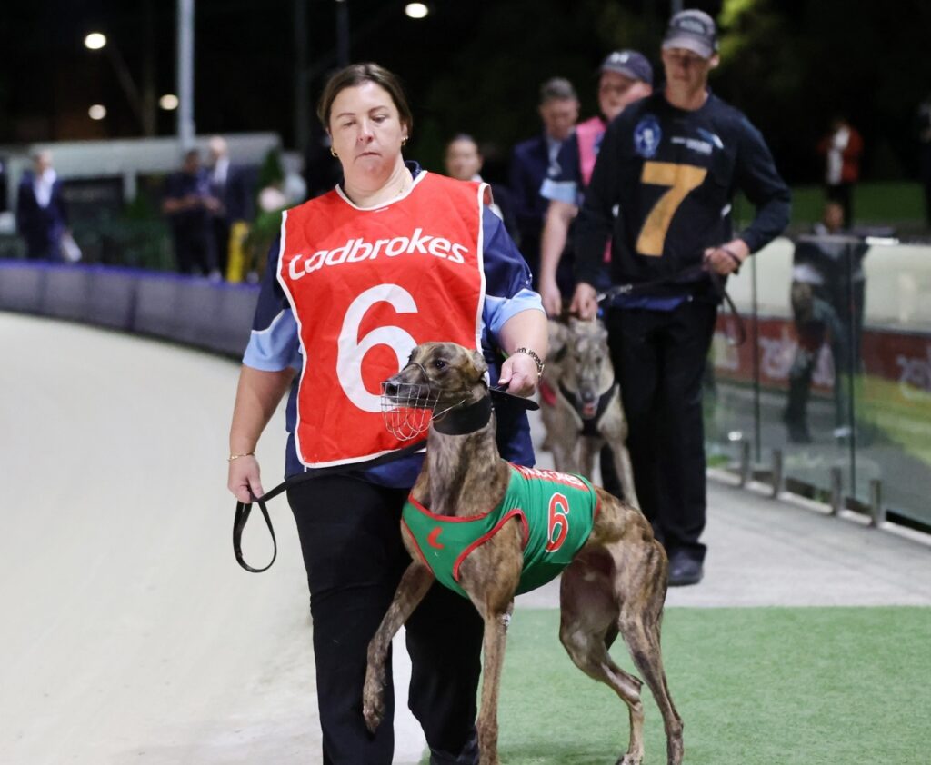Wish They Were Here: High Emotion In Ultra Sense - Greyhound Recorder