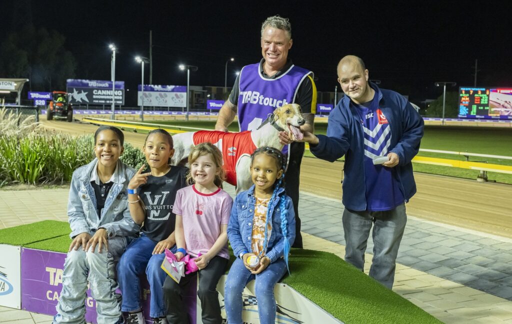 WA Marvel On Track For Queensland Cup Bid - Greyhound Recorder
