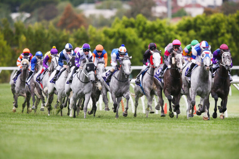 247 Of The Best Racehorse Names Of All Time - Fan Odds