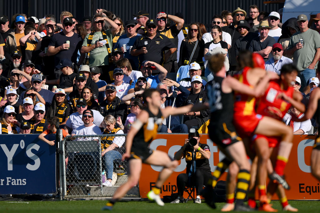 How To Watch VFL Live: Never Miss A Game - Odds
