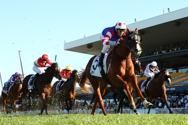 Portelli eyes Golden Rose with 'unbelievable revelation' - Odds