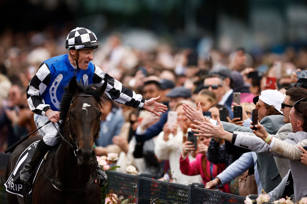 Melbourne Cup 2023 Guide: Everything You Need to Know - Odds - Odds