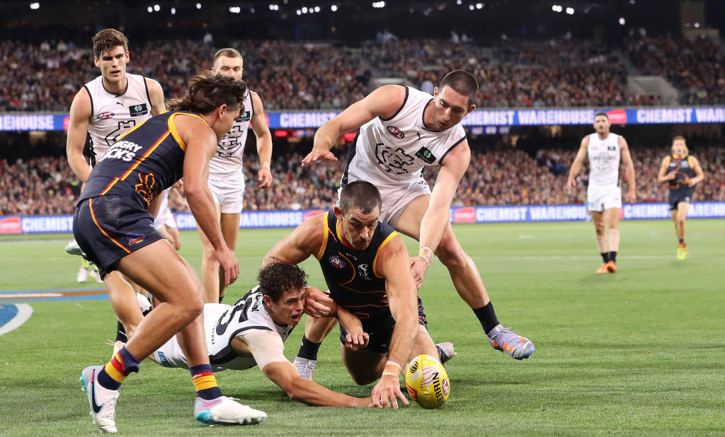 Adelaide vs Carlton Prediction - AFL Round 8 2025 - Odds