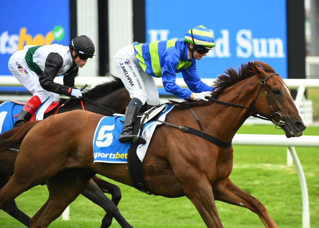 2025 Memsie Stakes Field - Odds