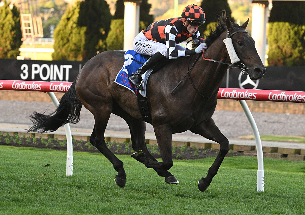 Moir Stakes Tips and Predictions - Odds