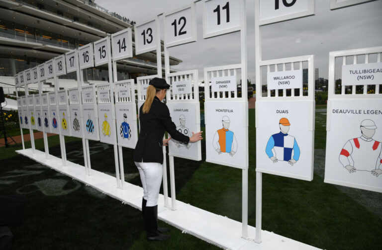 2025 Melbourne Cup Field - Odds