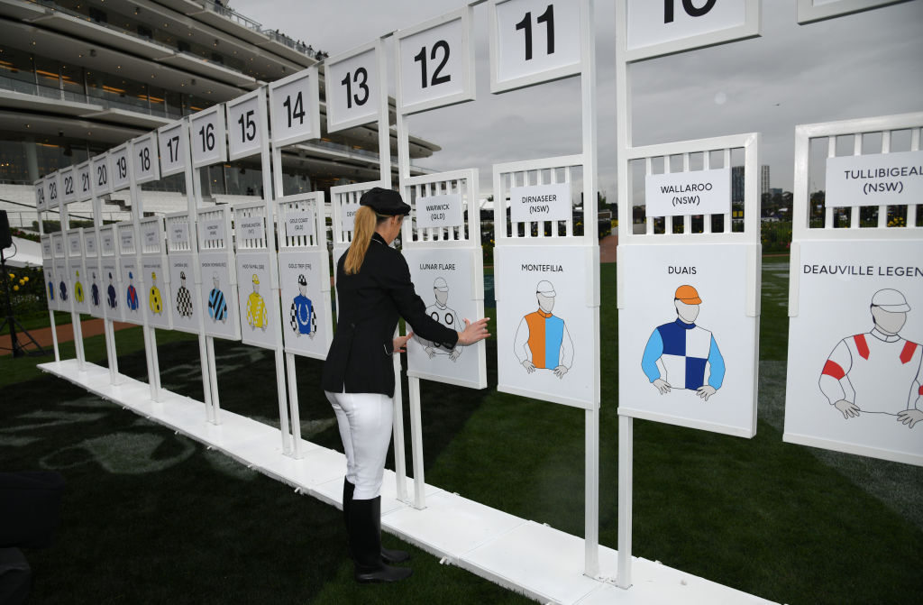 2025 Melbourne Cup Field - Odds